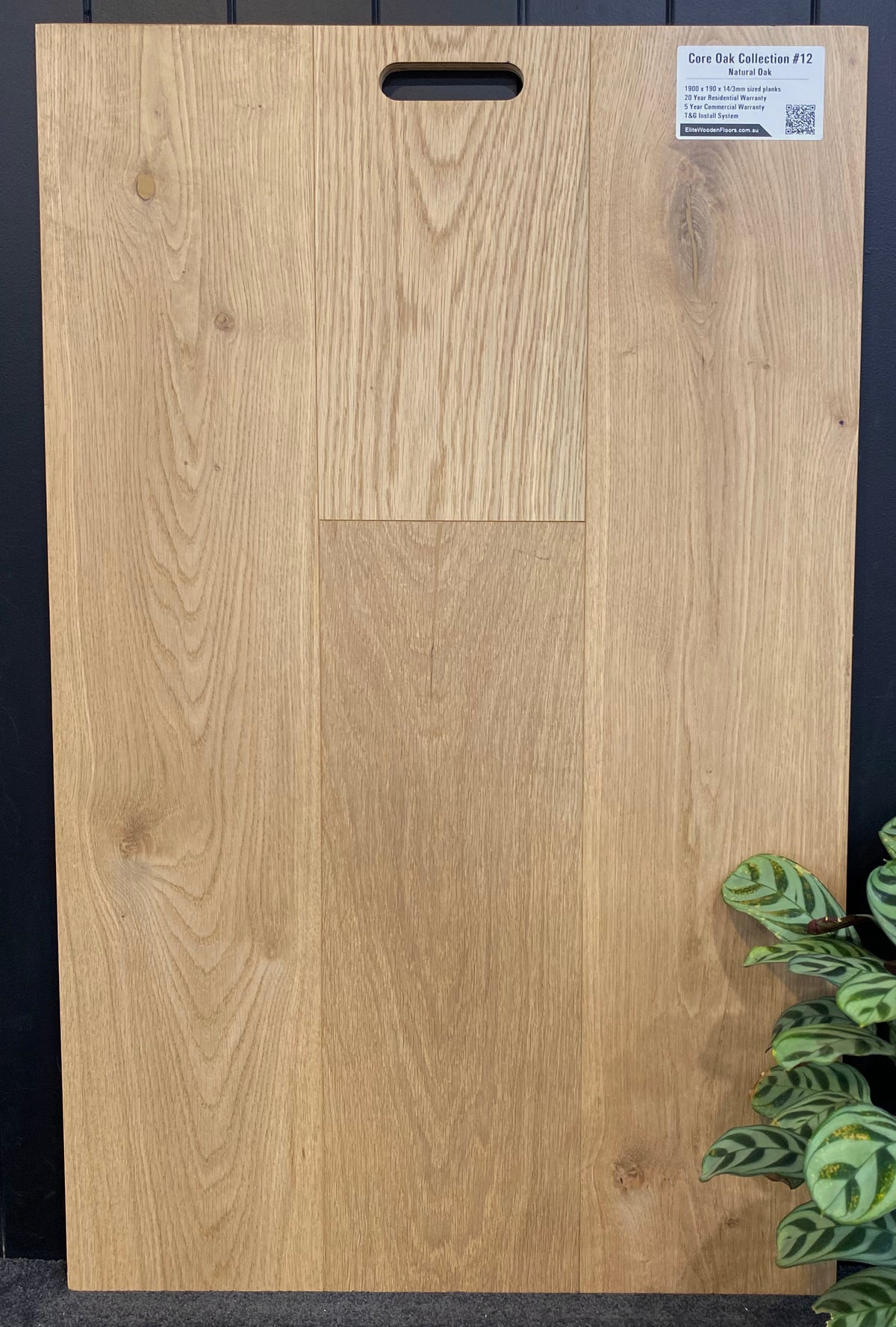 Engineered Oak Core Collection #12: Natural Oak — Elite Wooden Floors