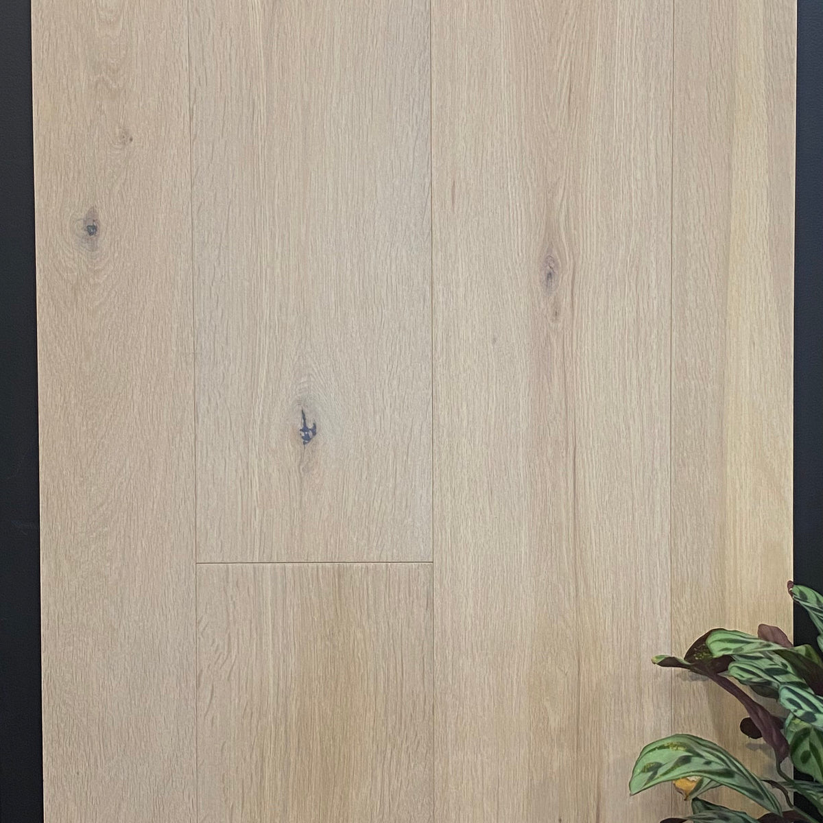SB Elite #3, Pale Oak, E3325 — Elite Wooden Floors