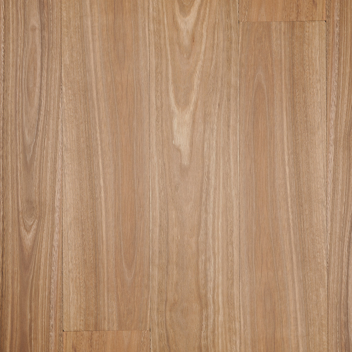 Solid Spotted Gum Timber Flooring — Elite Wooden Floors