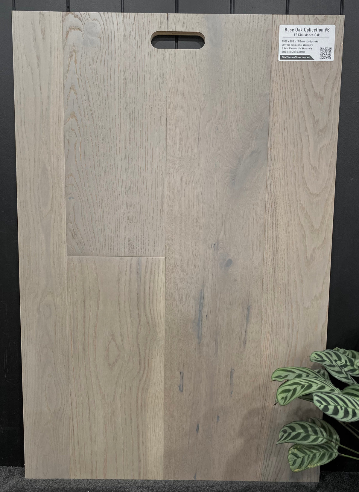 Builder Range – Collection #6: Ashen Oak — Elite Wooden Floors